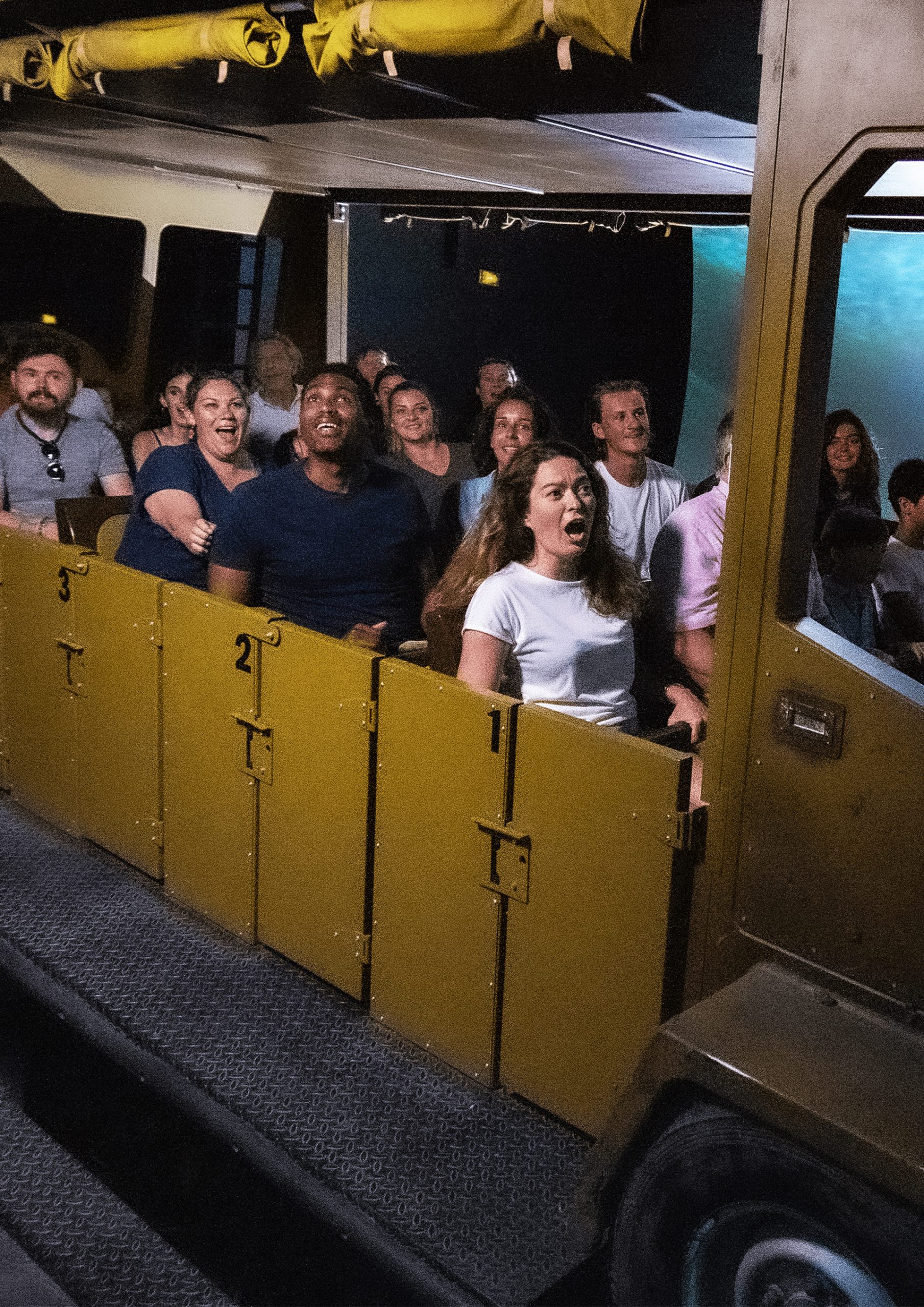 Supergroom et les Dinozorgs | Simworx